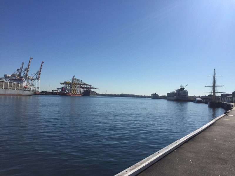 Dinosaurs or giraffes? - Fremantle Shipping News