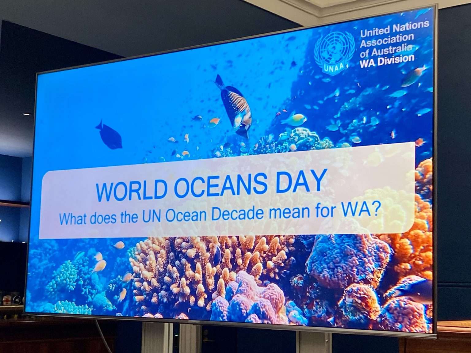 The Ocean Decade What Does It Mean For You Fremantle Shipping News The Ocean Decade What Does It Mean For You Fremantle Shipping News