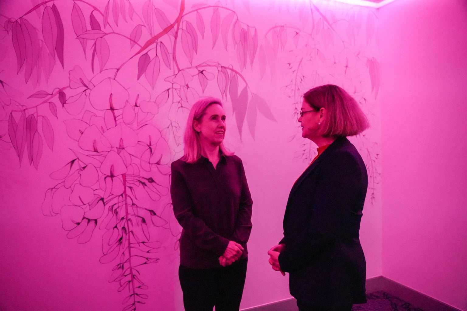 Major Mental Health Moves at Freo Hospital - Fremantle Shipping News